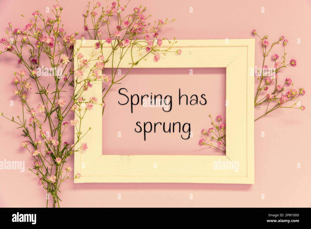 Vintage Photo Frame With Flower Arrangement, English Text Spring Has ...