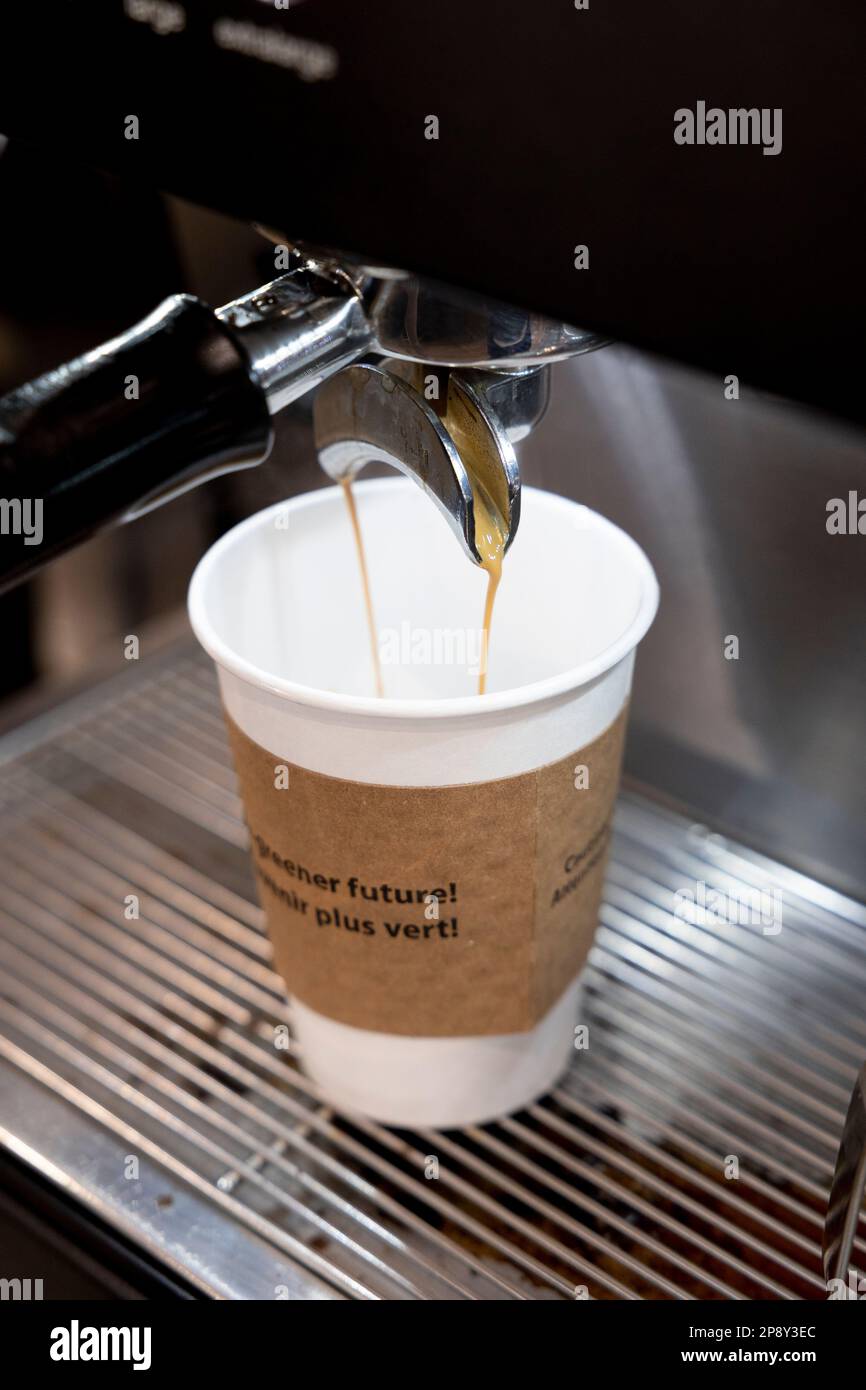 Espresso dripping into a white paper cup Stock Photo - Alamy