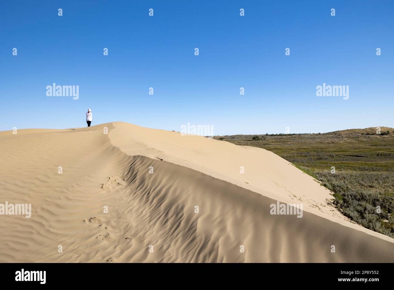 Prairie grassland saskatchewan hi-res stock photography and images - Alamy