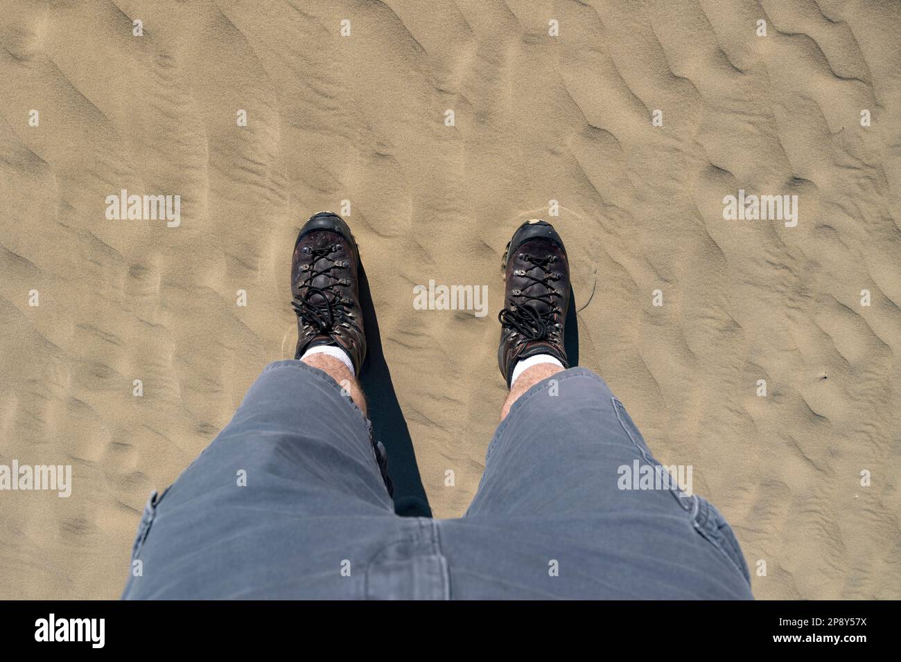 Standing on a dune in the Great Sand Hills, Saskatchewan, Canada Stock ...