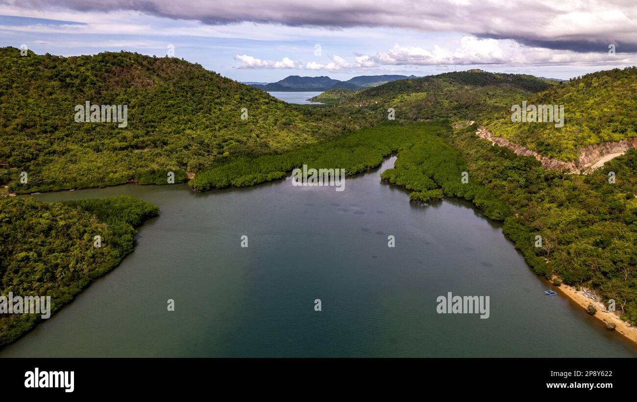 The photo captures the breathtaking beauty of a tropical jungle or ...