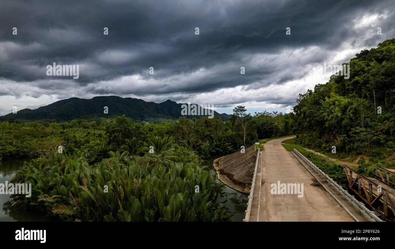 The photo captures the breathtaking beauty of a tropical jungle or ...