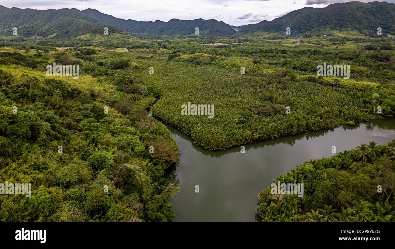 The photo captures the breathtaking beauty of a tropical jungle or ...