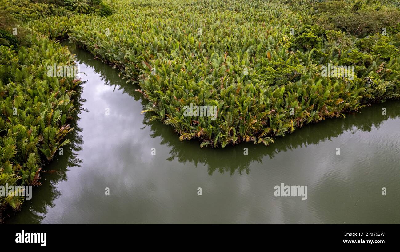 The photo captures the breathtaking beauty of a tropical jungle or ...