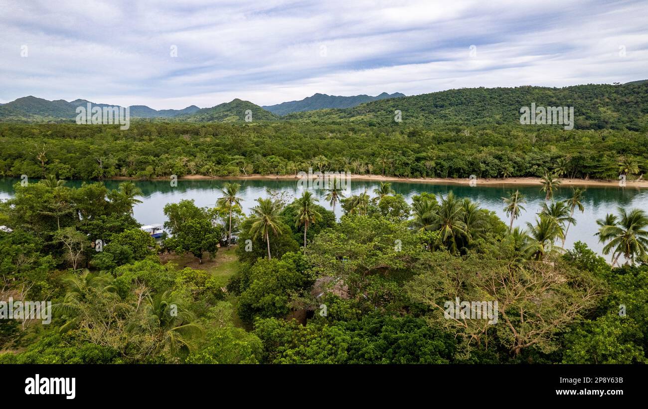 The photo captures the breathtaking beauty of a tropical jungle or ...
