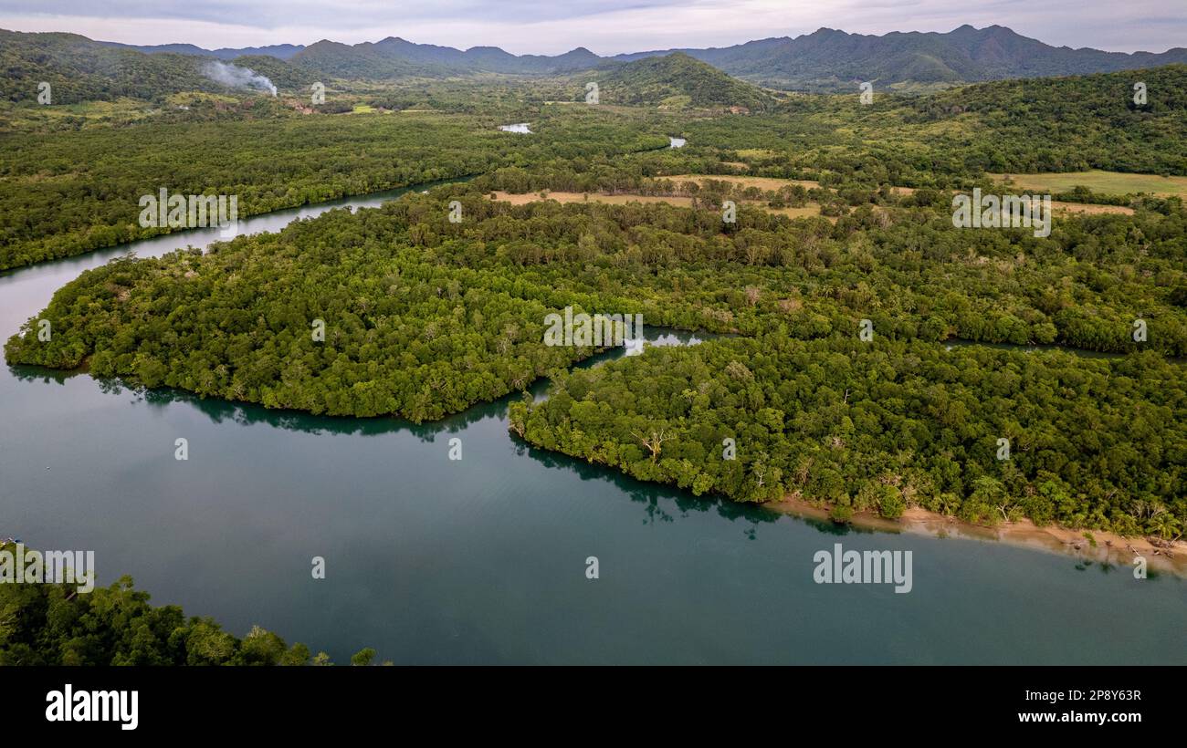The photo captures the breathtaking beauty of a tropical jungle or ...