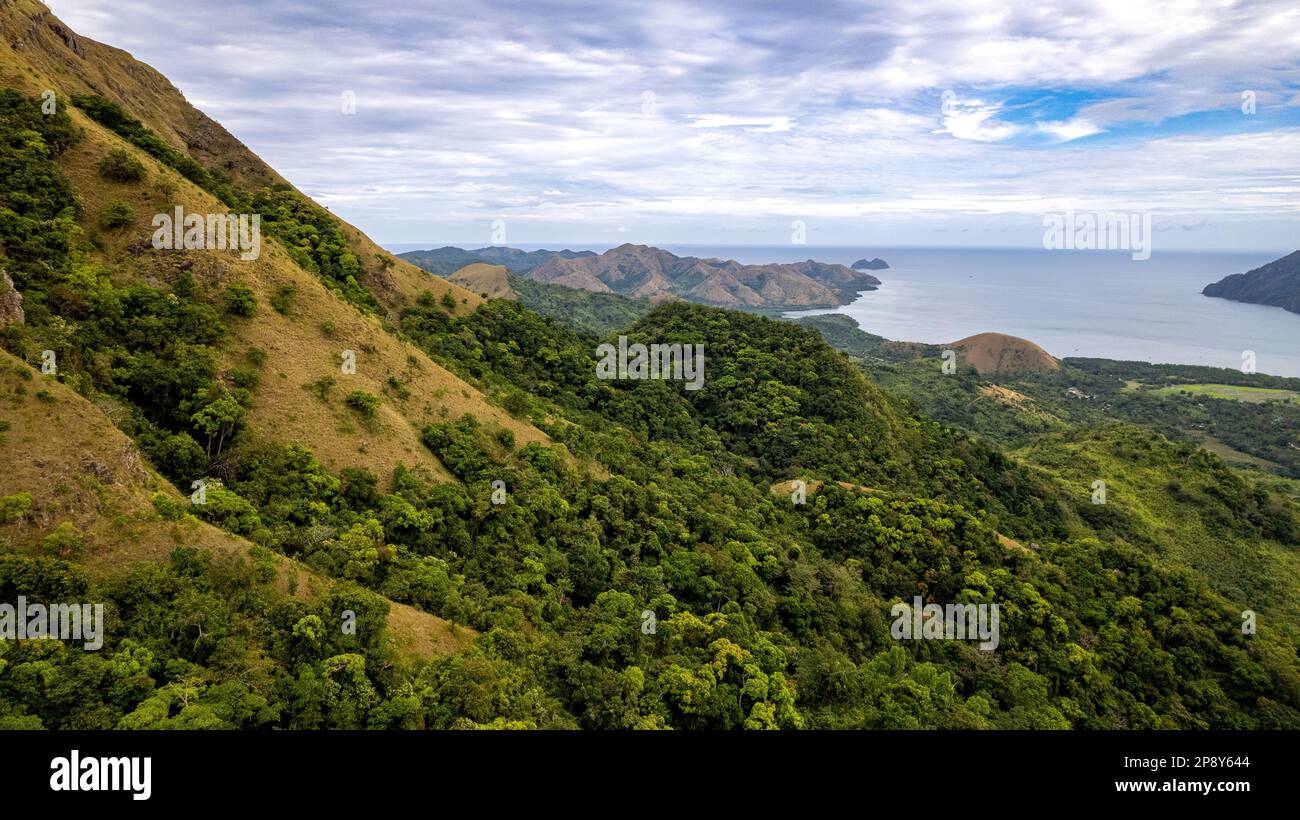 The photo captures the breathtaking beauty of a tropical jungle or ...