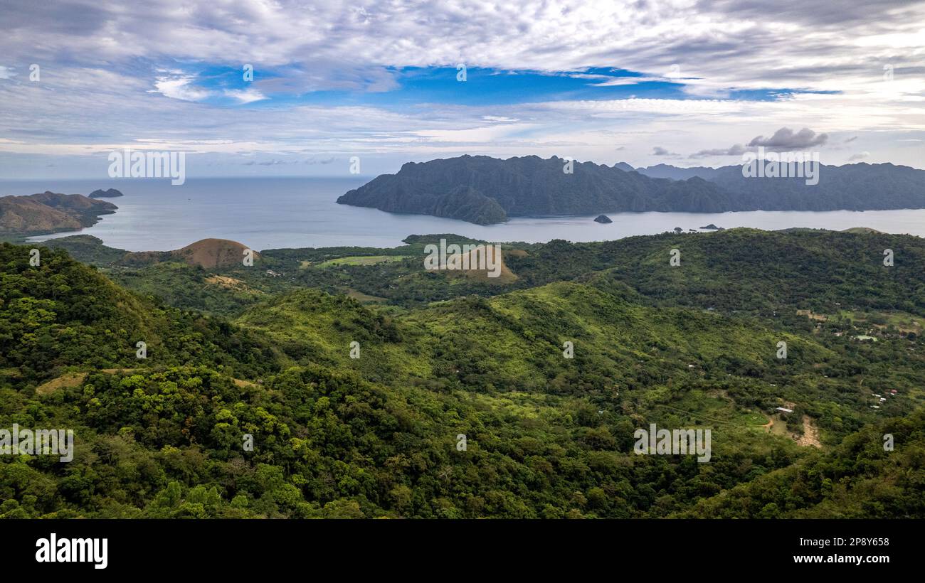 The photo captures the breathtaking beauty of a tropical jungle or ...
