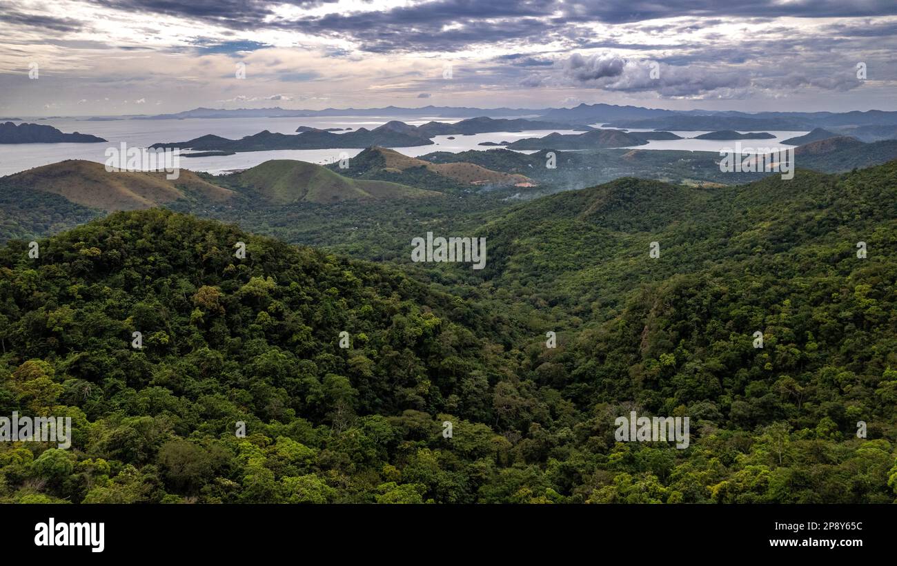 The photo captures the breathtaking beauty of a tropical jungle or ...
