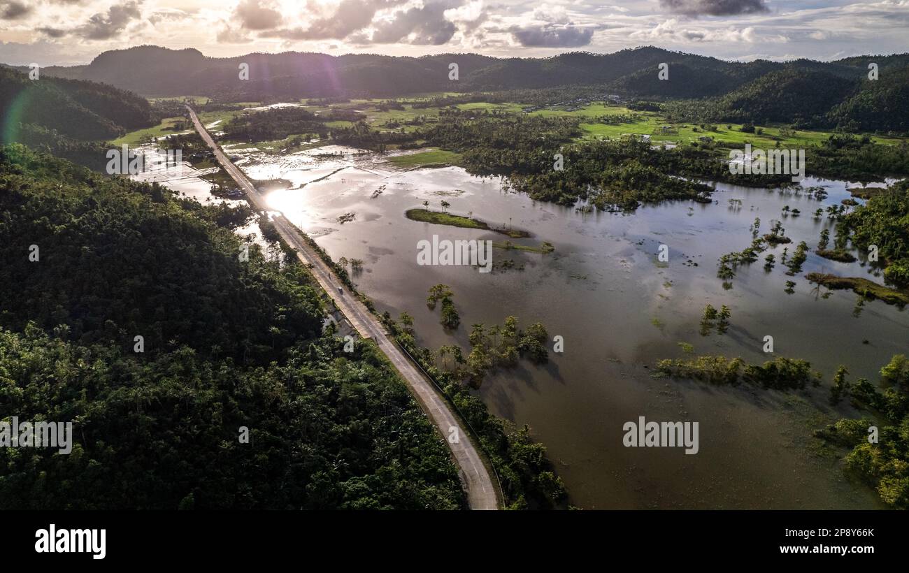 The photo captures the breathtaking beauty of a tropical jungle or ...