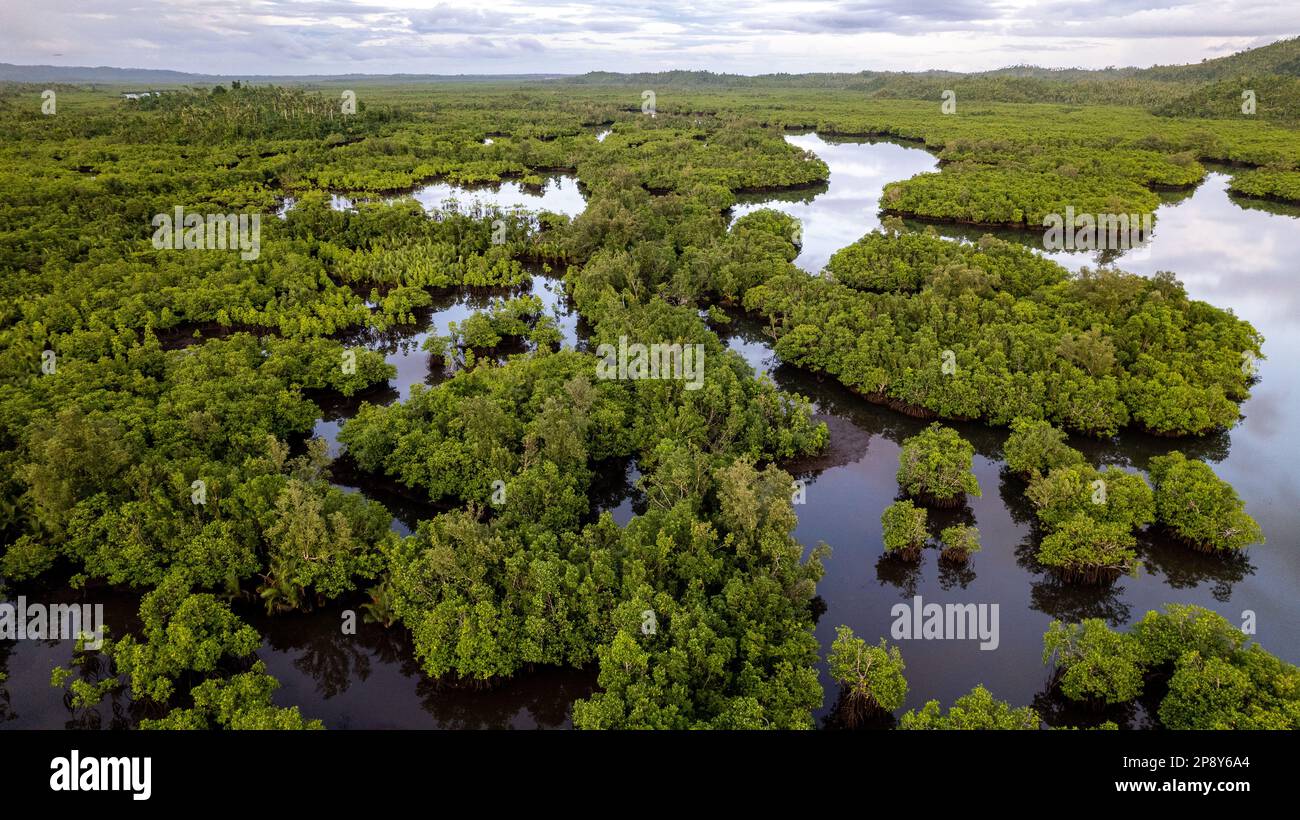 The photo captures the breathtaking beauty of a tropical jungle or ...