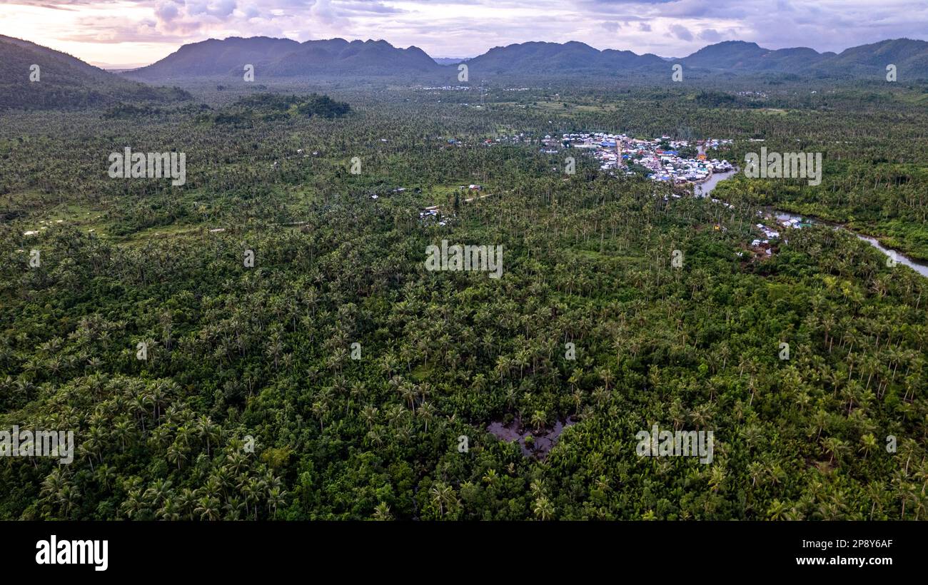 The photo captures the breathtaking beauty of a tropical jungle or ...