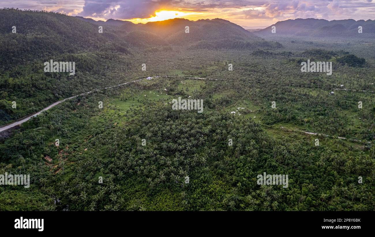 The photo captures the breathtaking beauty of a tropical jungle or ...