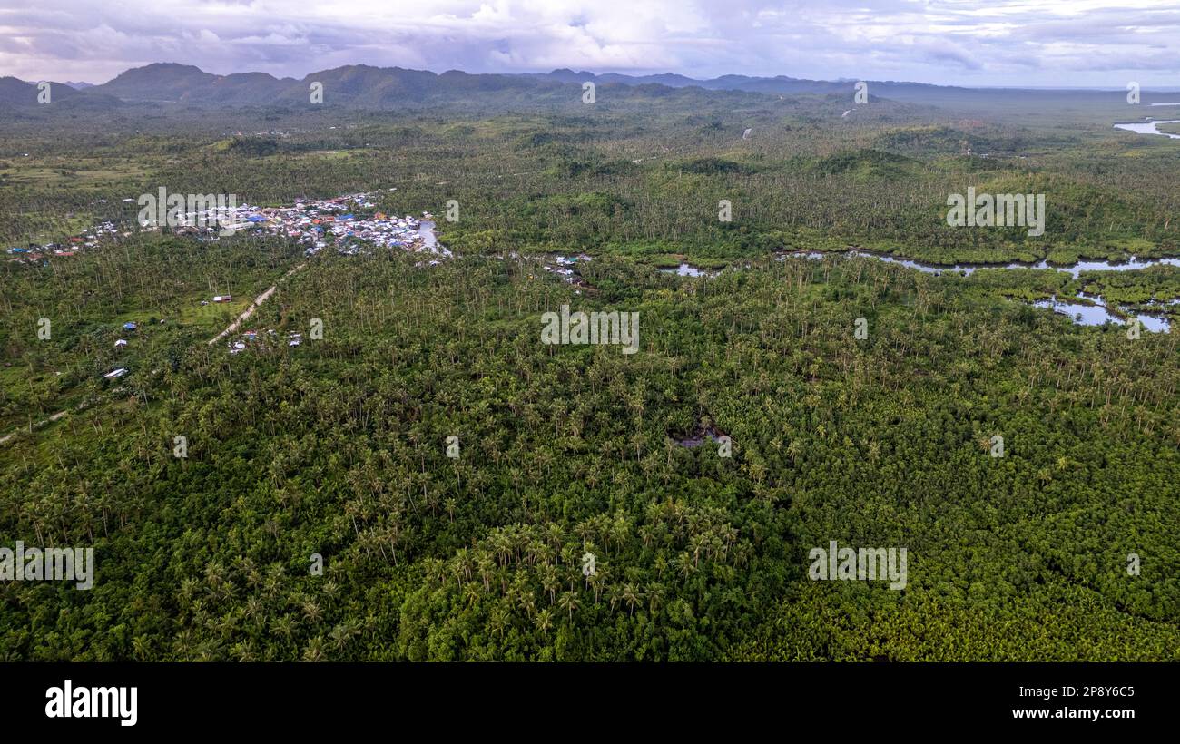 The photo captures the breathtaking beauty of a tropical jungle or ...