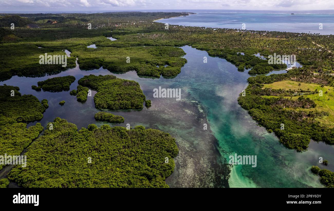 The photo captures the breathtaking beauty of a tropical jungle or ...