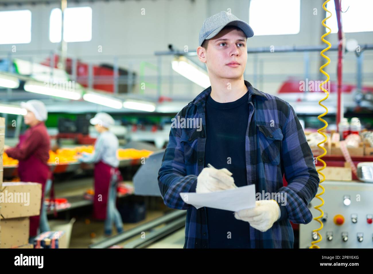 Young foreman with papers controlling work on tangerines sorting line ...