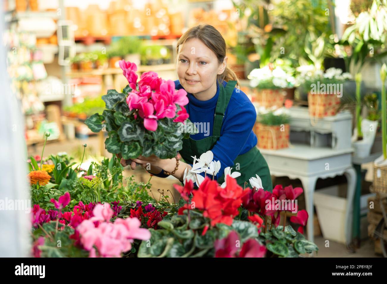 Woman flower vendor arranging bouquet hi-res stock photography and ...