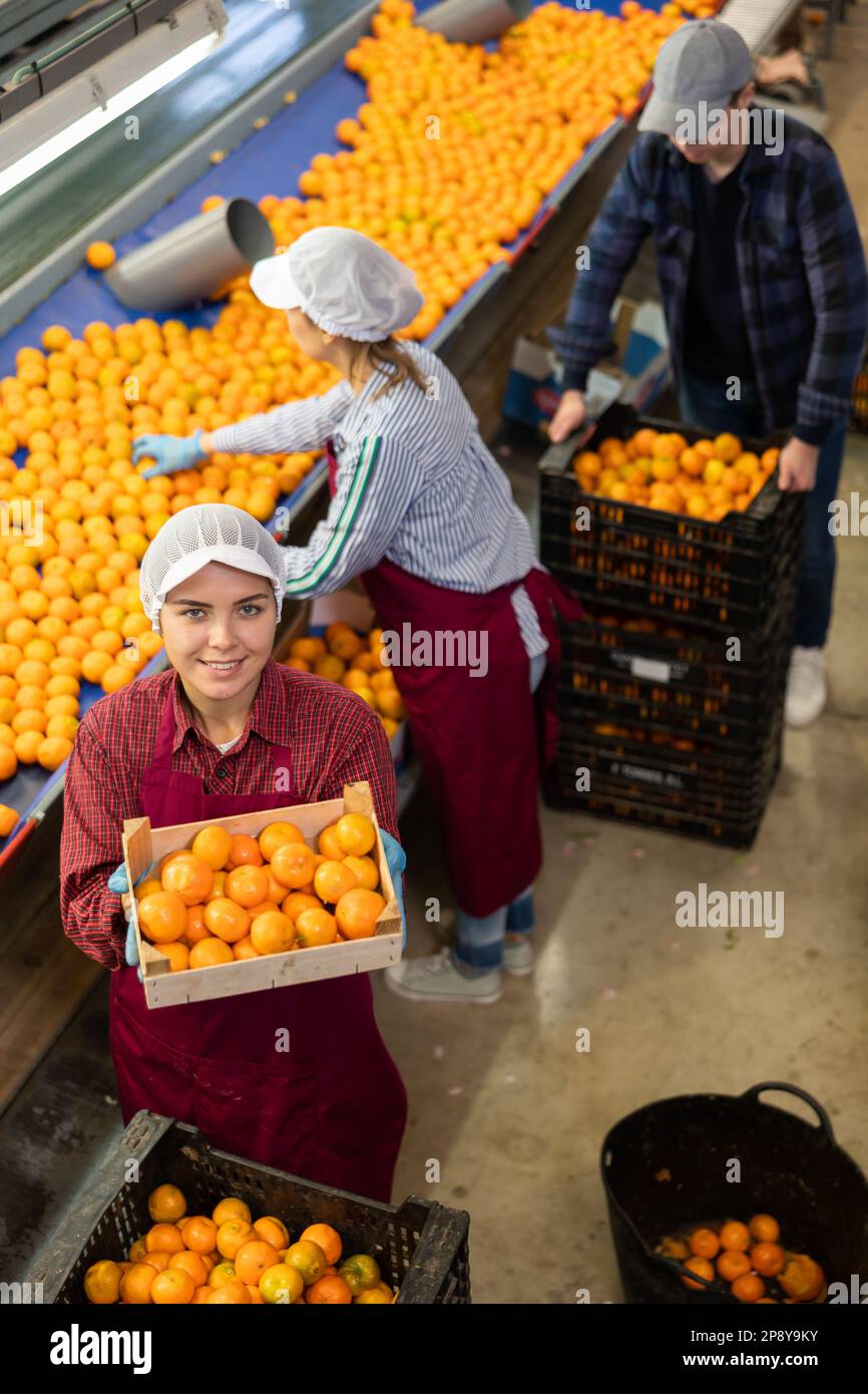 Team of workers in colored uniforms on citrus sorting line at warehouse ...