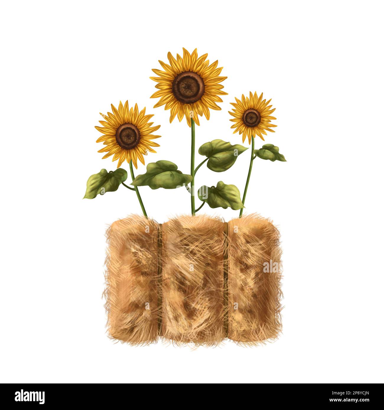 A farmer's composition of a stack of fluffy golden hay and colorful ...