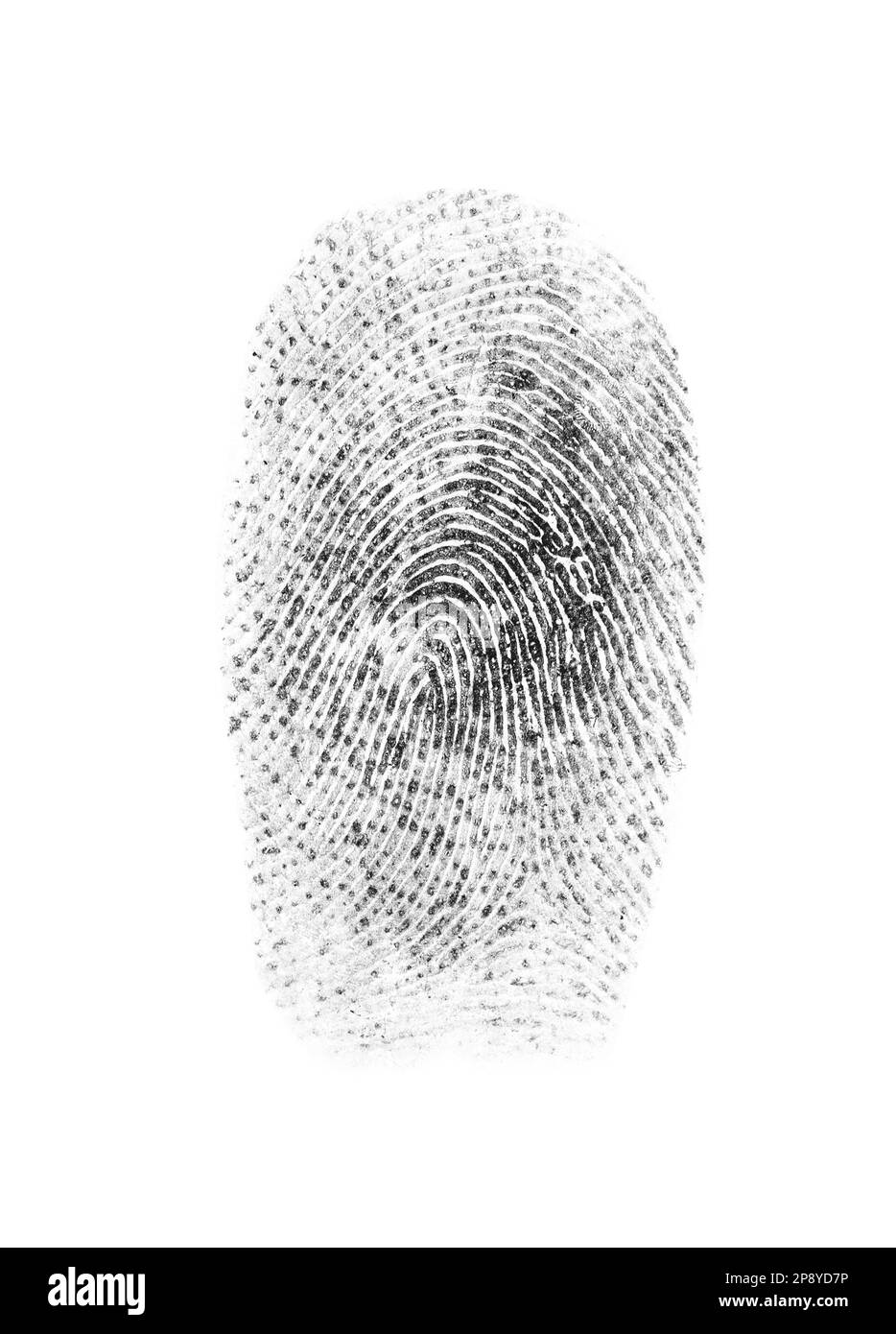 Black fingerprint made with ink on white background Stock Photo - Alamy