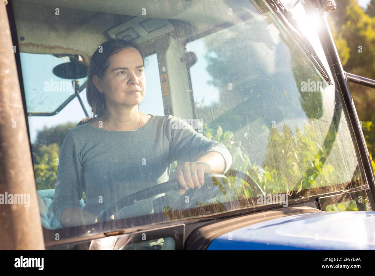 Female owner of vineyard behind glass in tractor cab Stock Photo - Alamy