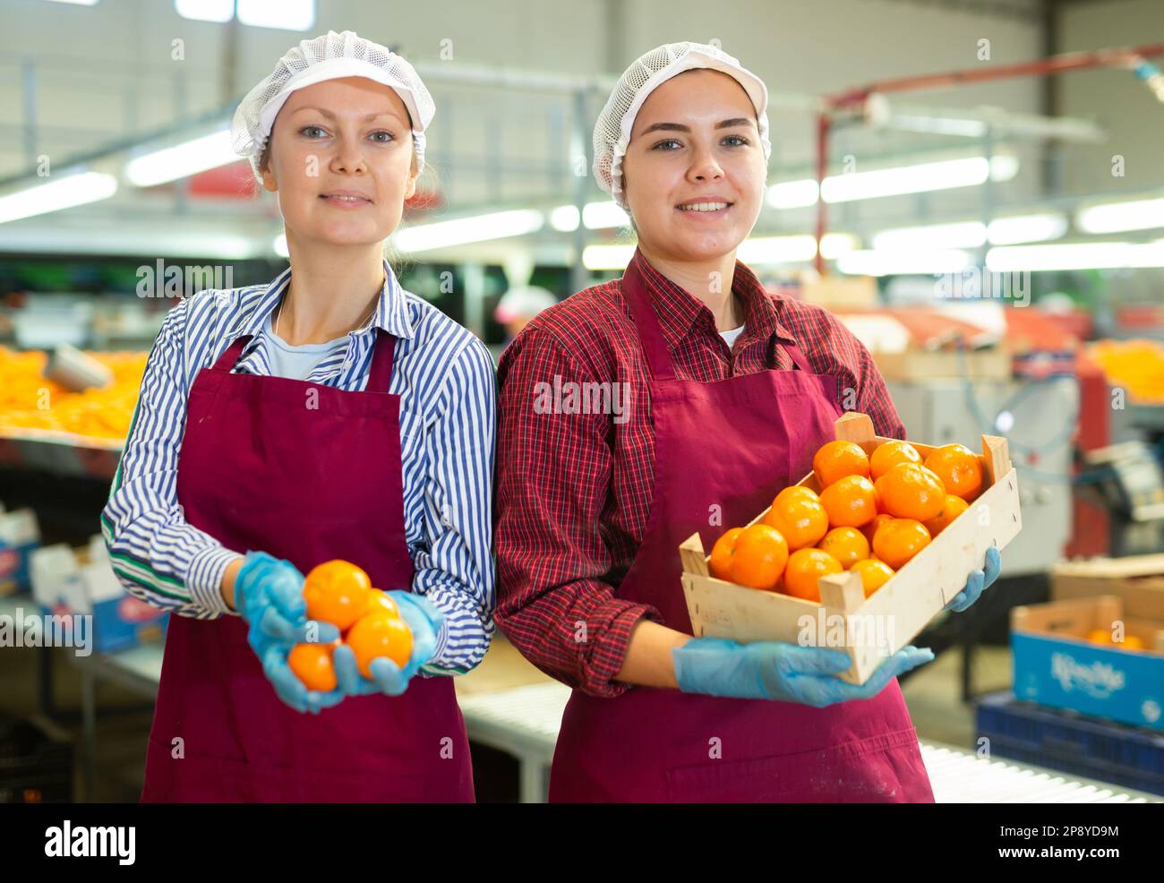 Cheerful female workmates standing in sorting workshop with mandarins ...