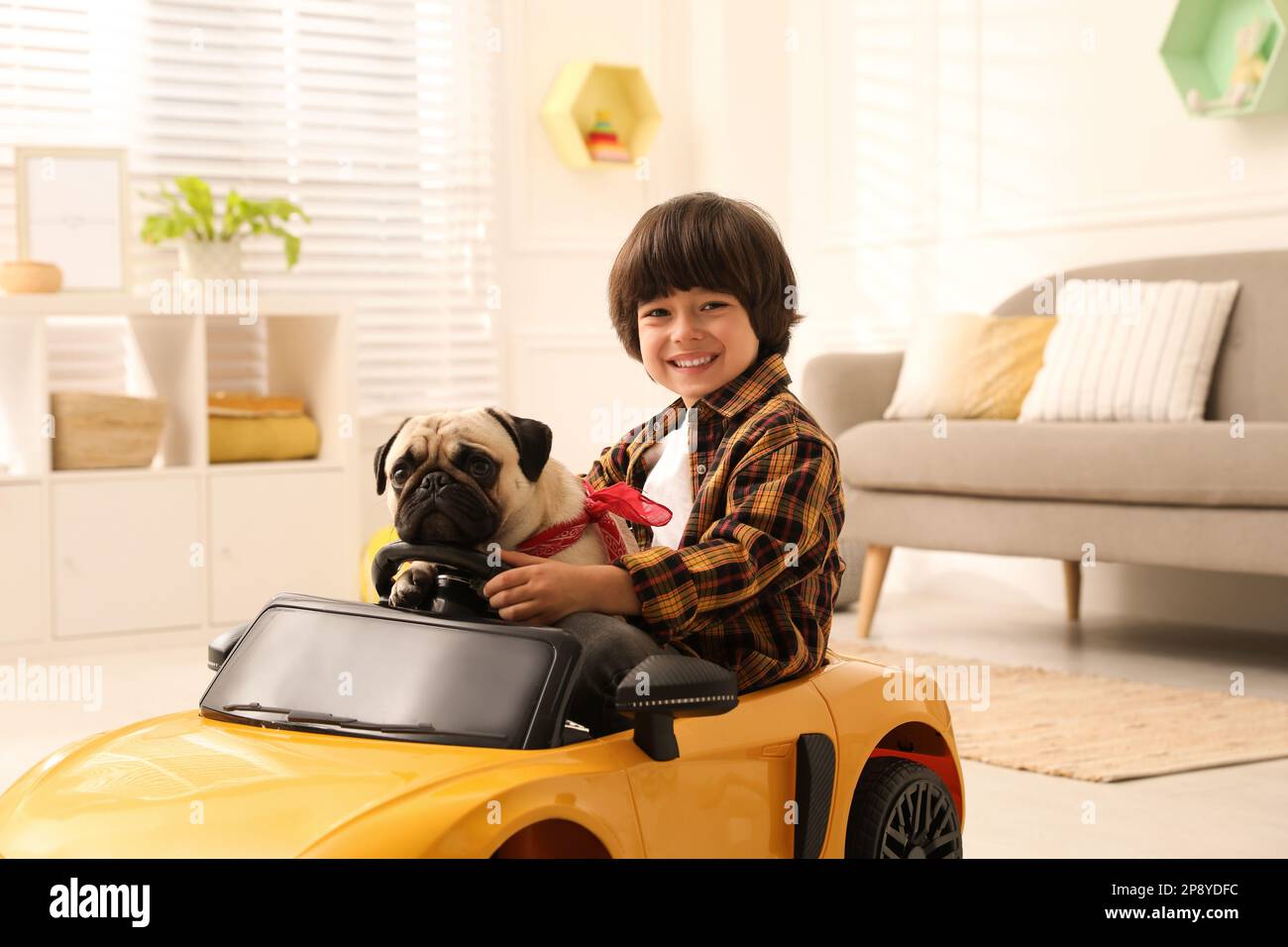 Little boy with his dog in toy car at home Stock Photo - Alamy