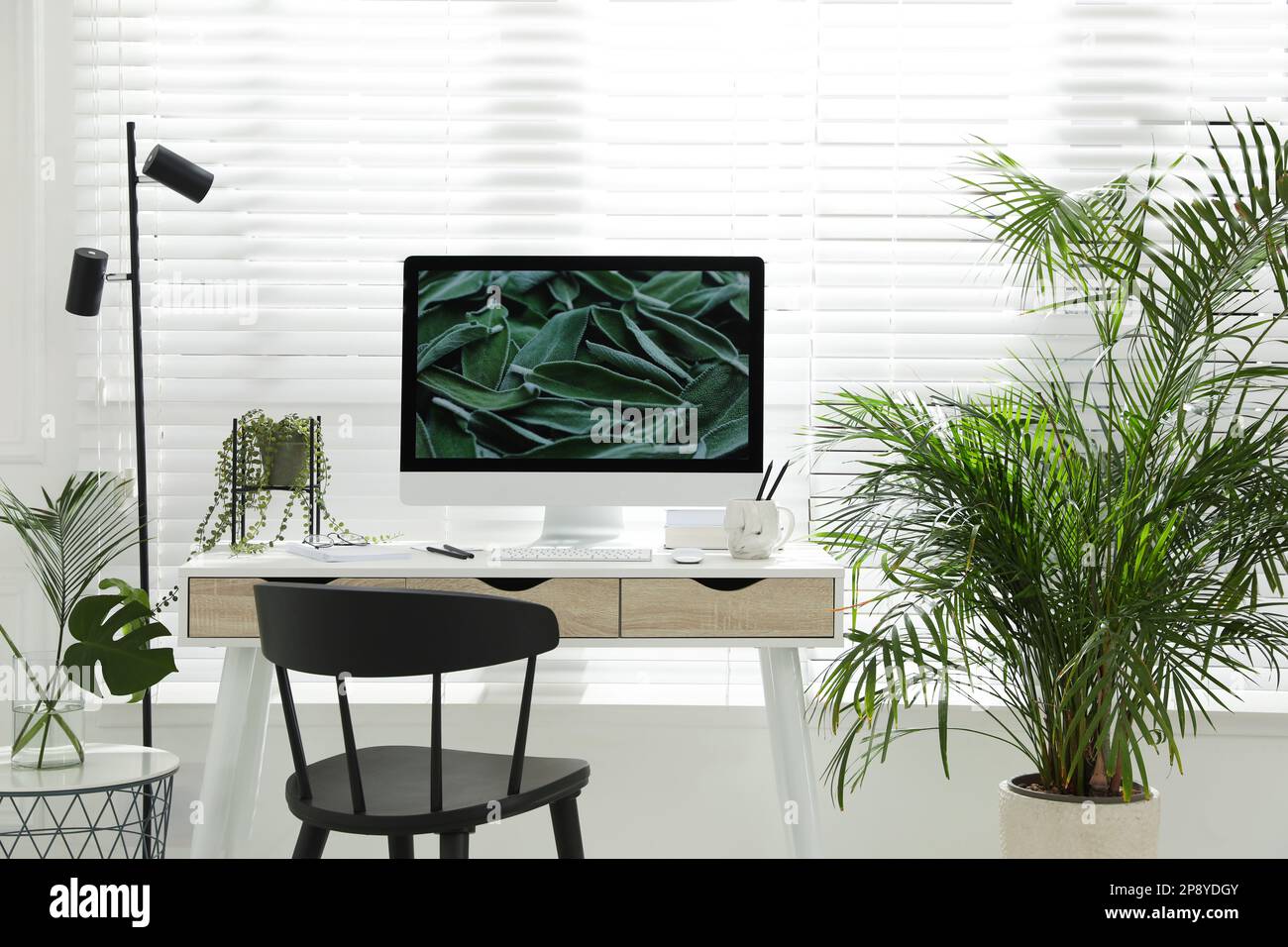 Comfortable workplace with modern computer and green plants in room ...
