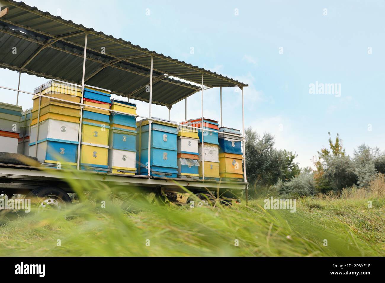 Many colorful bee hives at apiary outdoors Stock Photo - Alamy