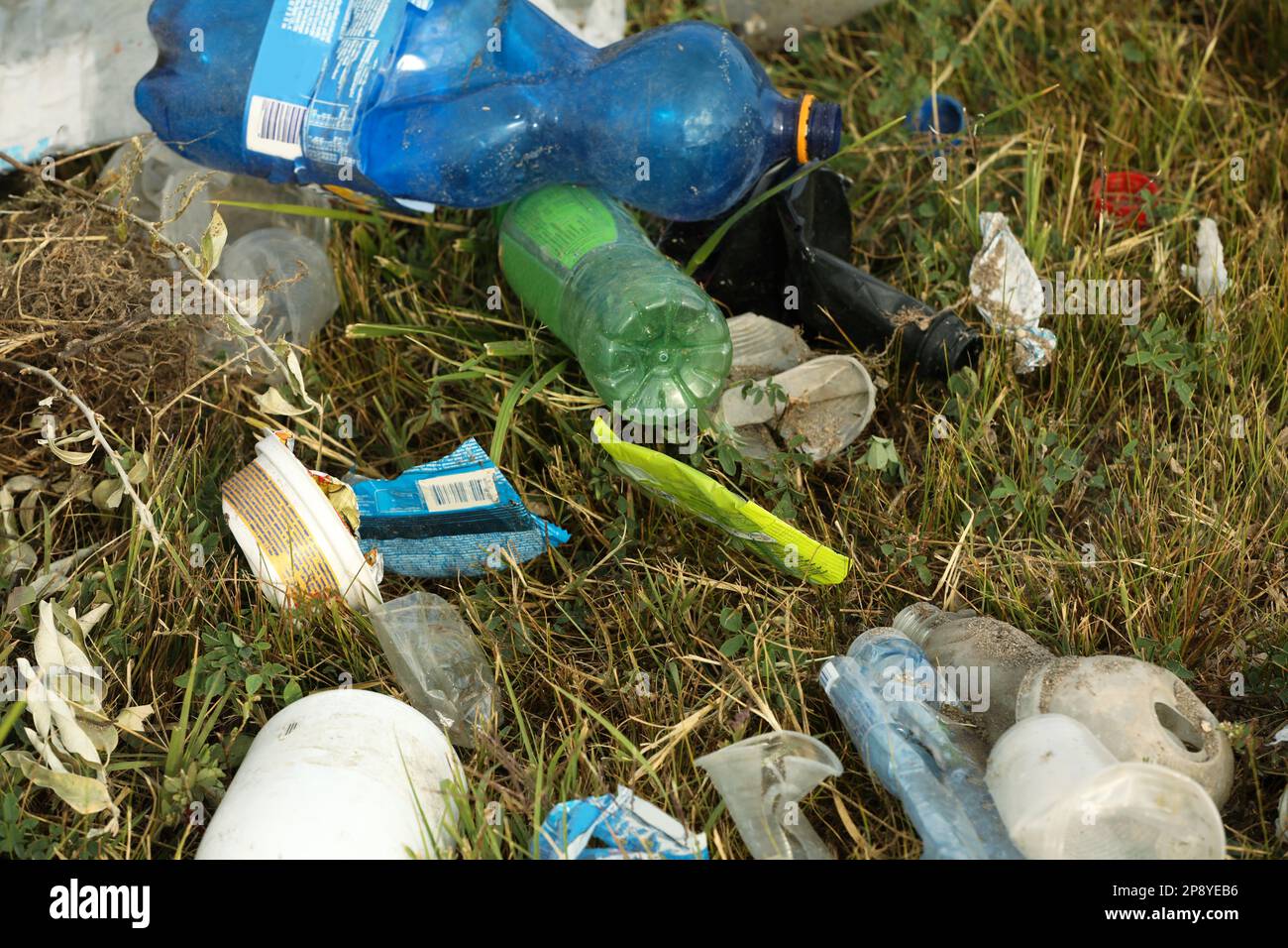 Garbage scattered on grass. Environment pollution problem Stock Photo ...