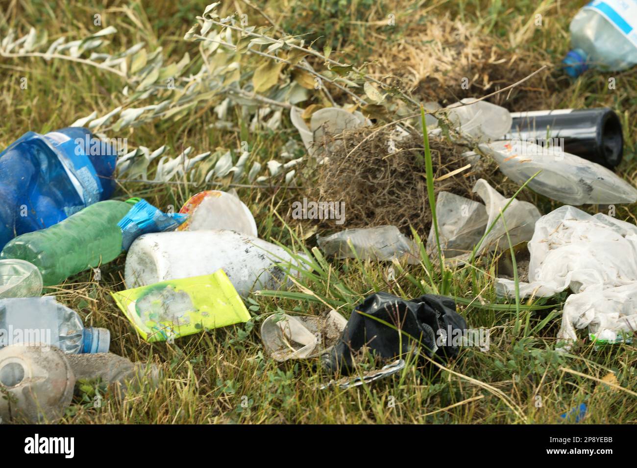 Garbage scattered on grass. Environment pollution problem Stock Photo ...