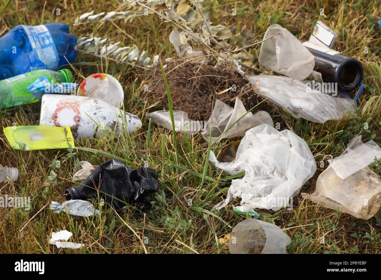 Garbage scattered on grass. Environment pollution problem Stock Photo ...
