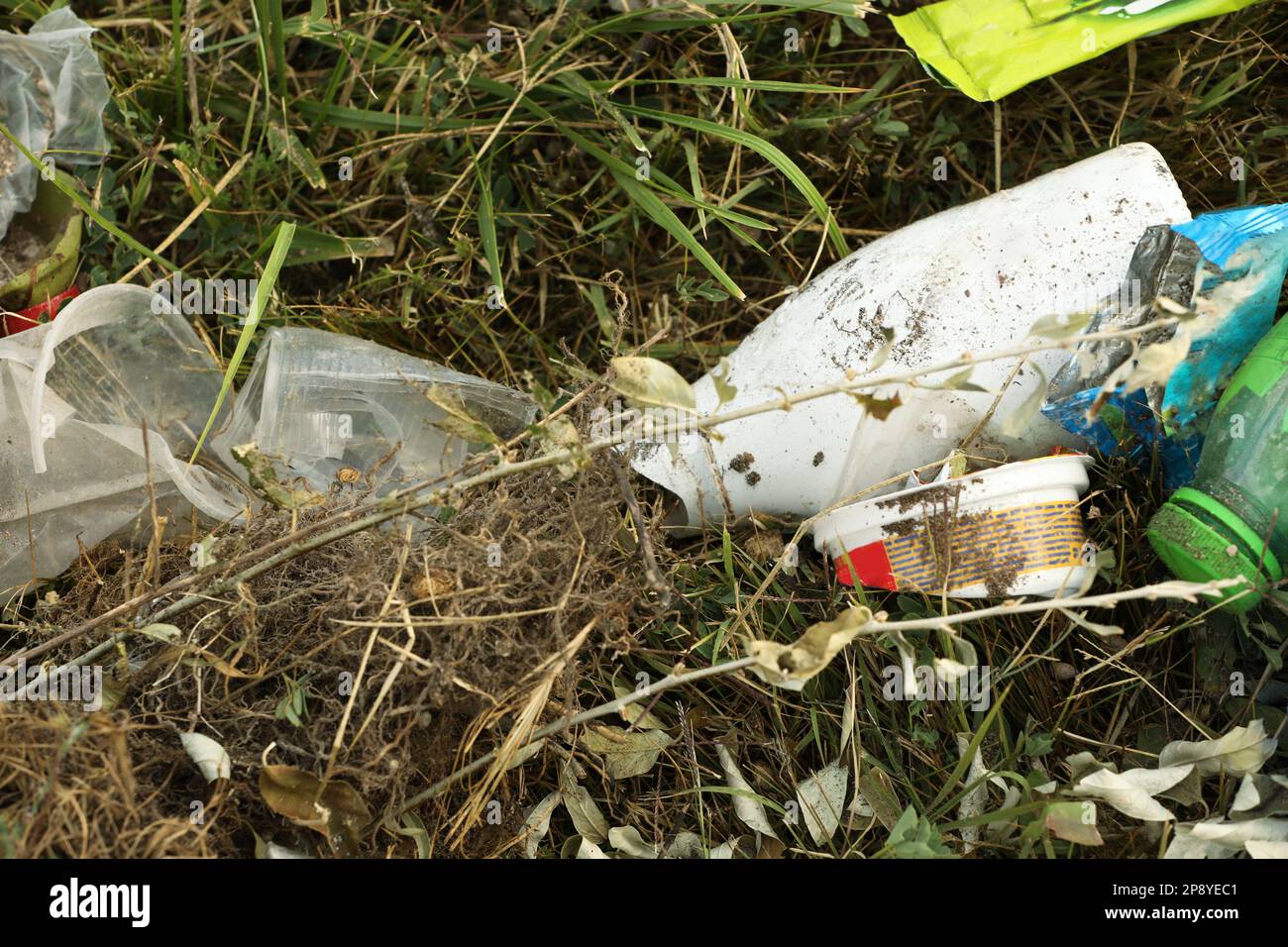 Garbage scattered on grass. Environment pollution problem Stock Photo ...