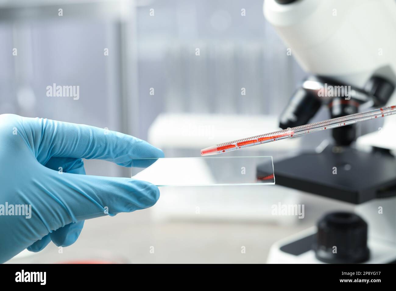 Scientist dripping sample of red liquid onto microscope slide in ...