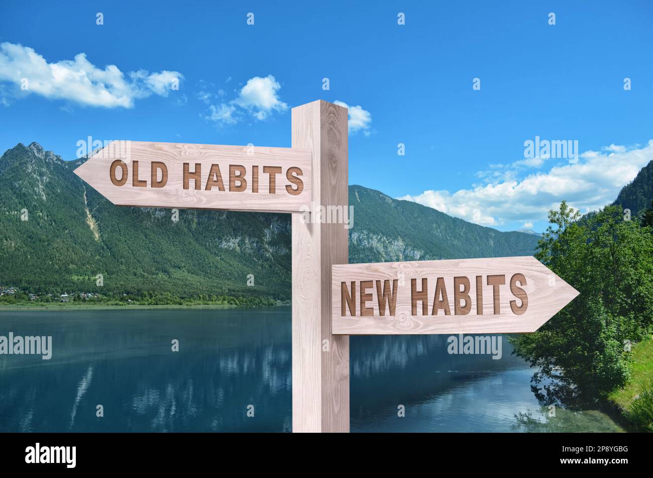 Alcohol addiction: what to choose - life with old bad habits or new ...