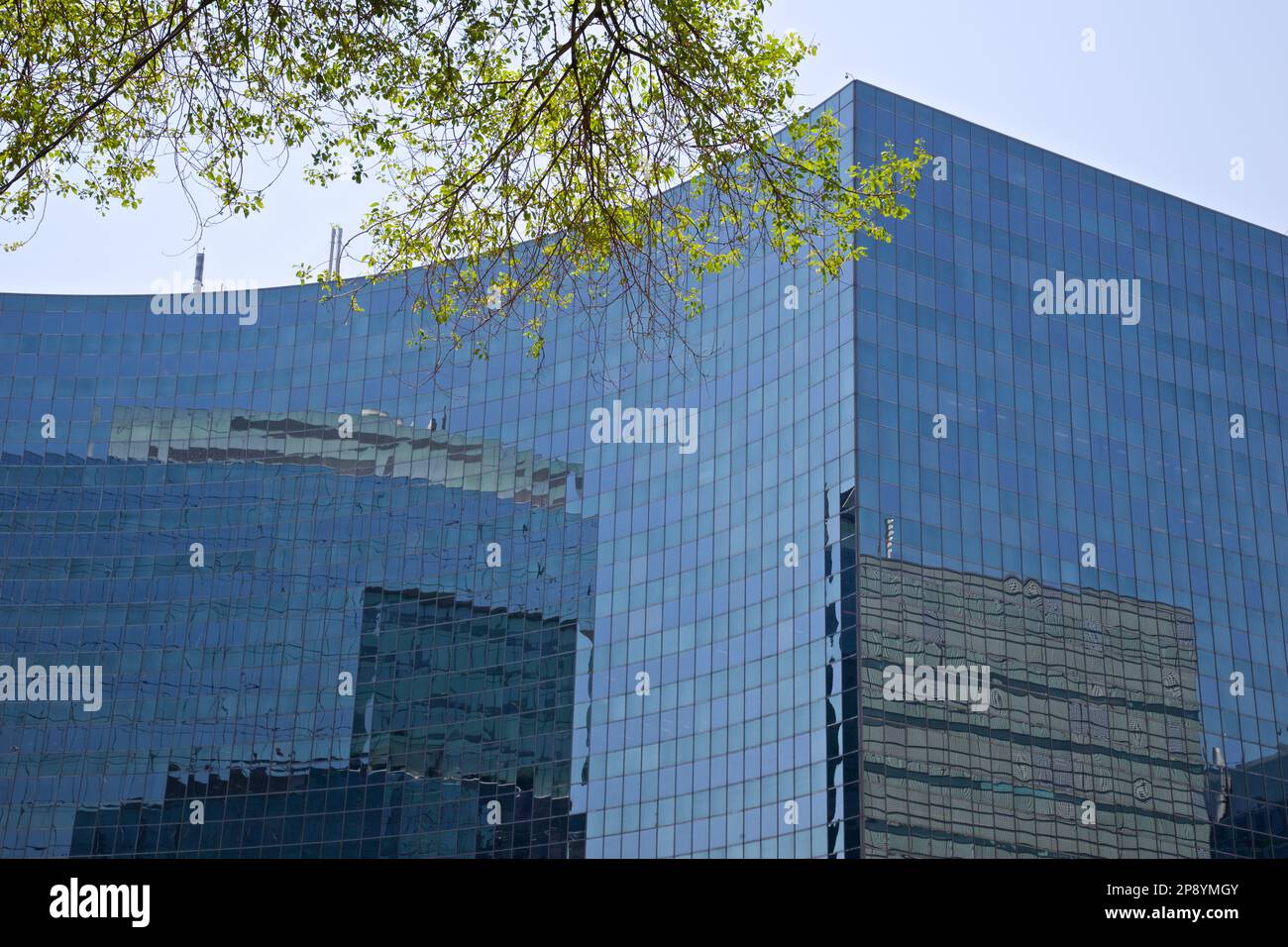Reflection of the glass window wall of a modern design building in ...