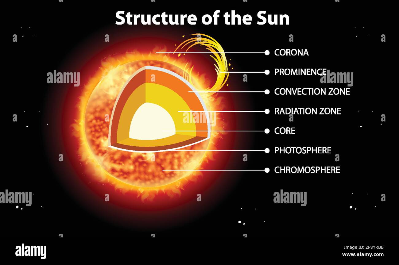 The Structure of the Sun illustration Stock Vector Image & Art - Alamy