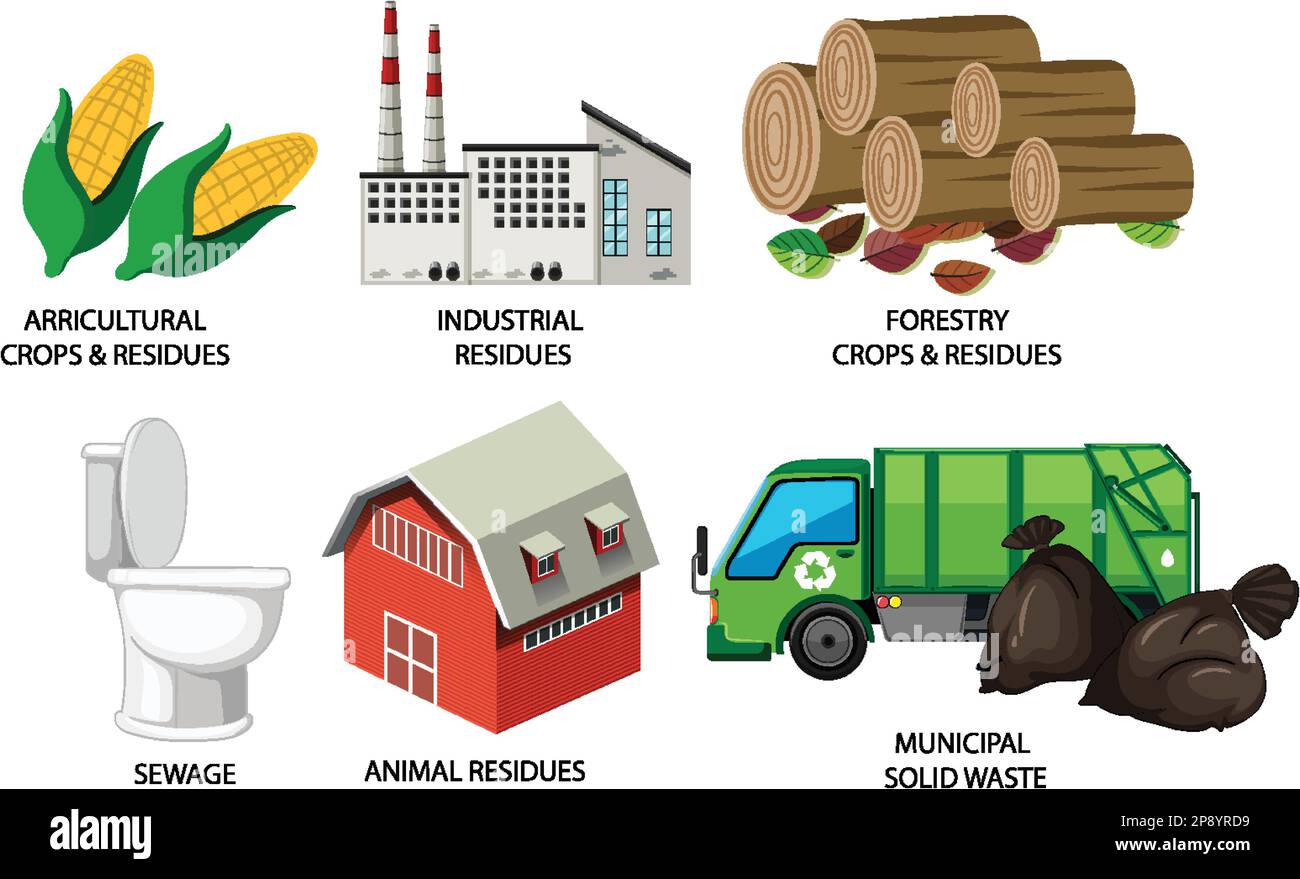 Many Forms of Biomass Energy illustration Stock Vector Image & Art - Alamy