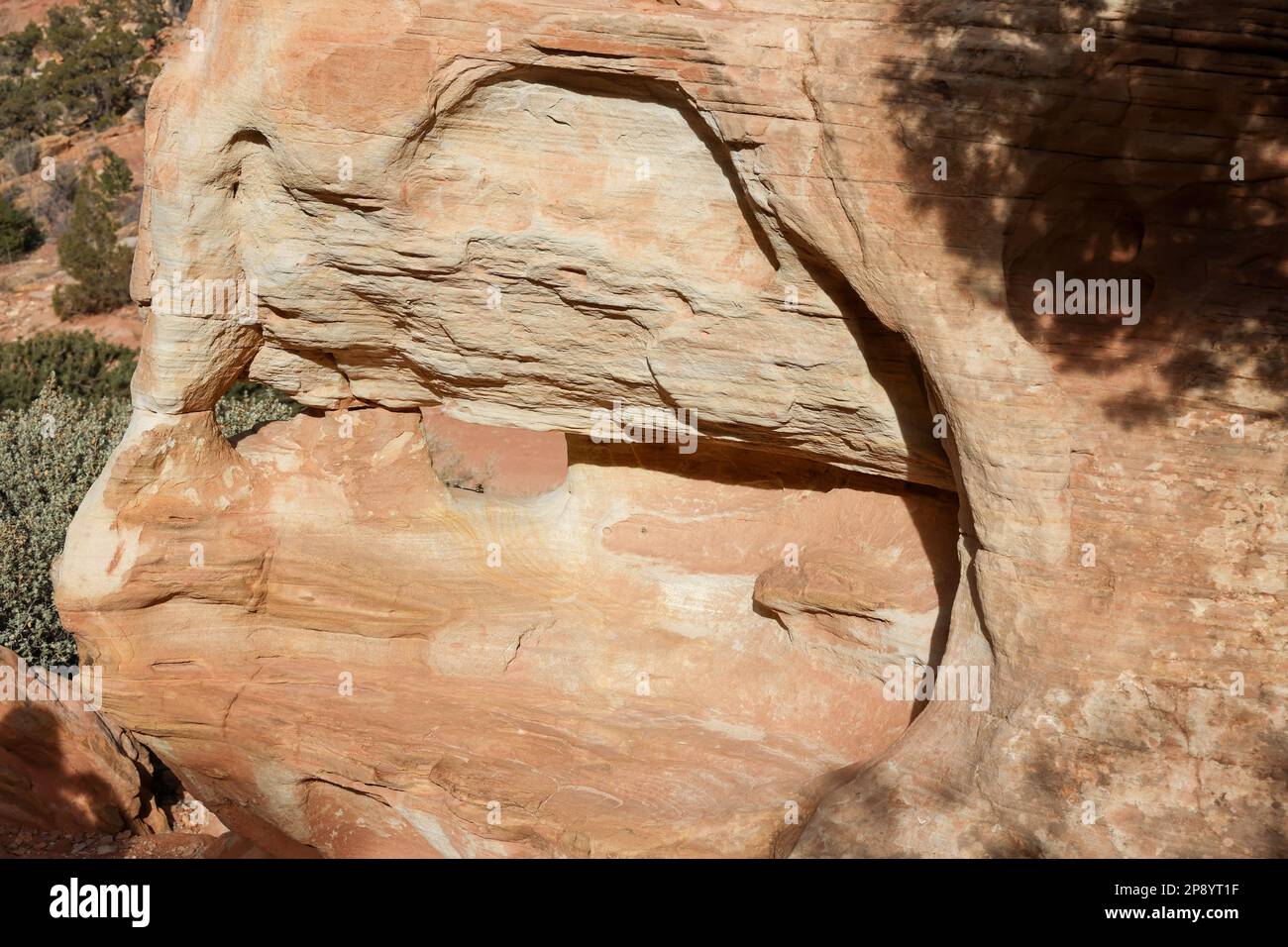 March 5, 2023: A small window has formed in the rocks along the grand ...