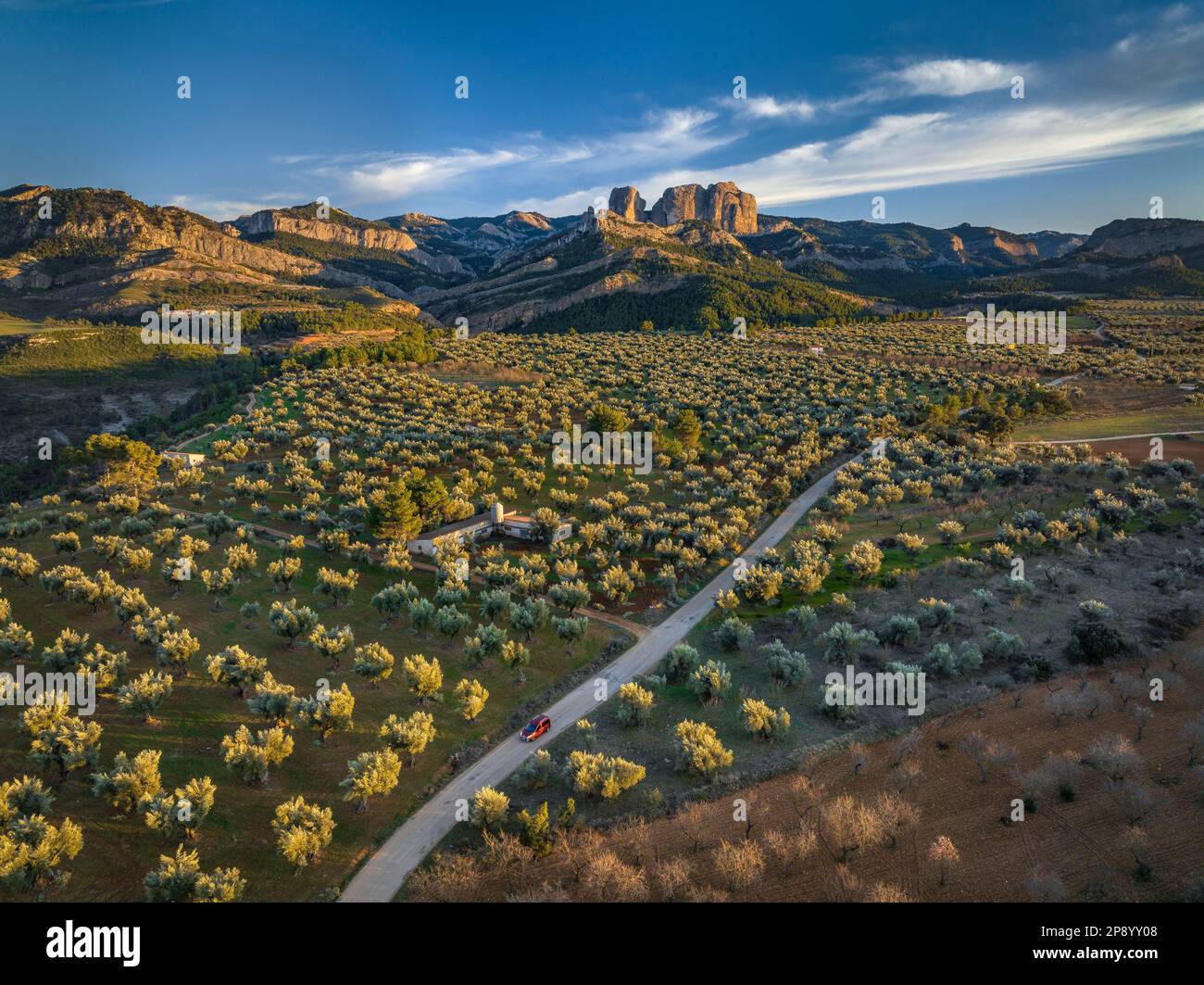 Aerial view of a sunset between fields and olive groves in spring, with ...