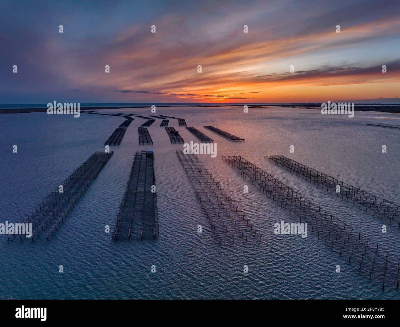 Mussel farms hi-res stock photography and images - Alamy