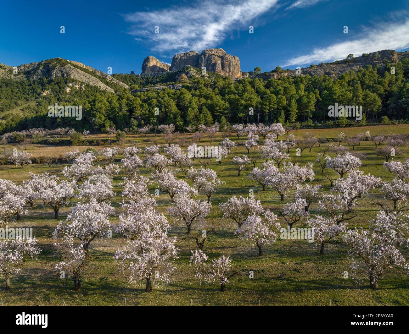 Geología de campo hi-res stock photography and images - Alamy
