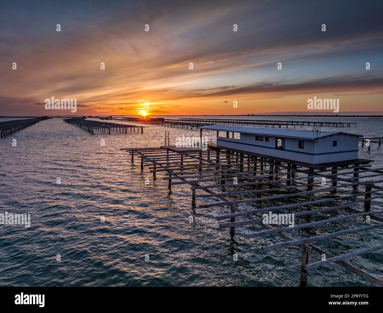 Aerial view of the mussel farms of the Fangar bay in a reddish sunrise ...