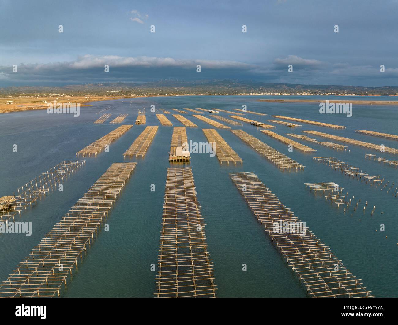 Aerial view of the mussel farms of the Fangar bay in a reddish sunrise ...