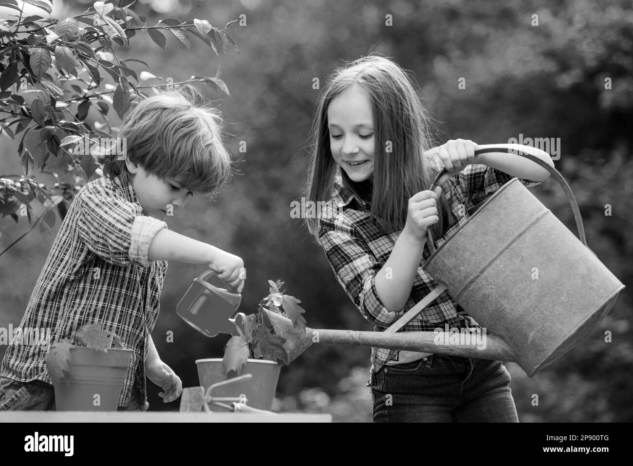 Watering flowers in garden. Children farmer in the farm with ...