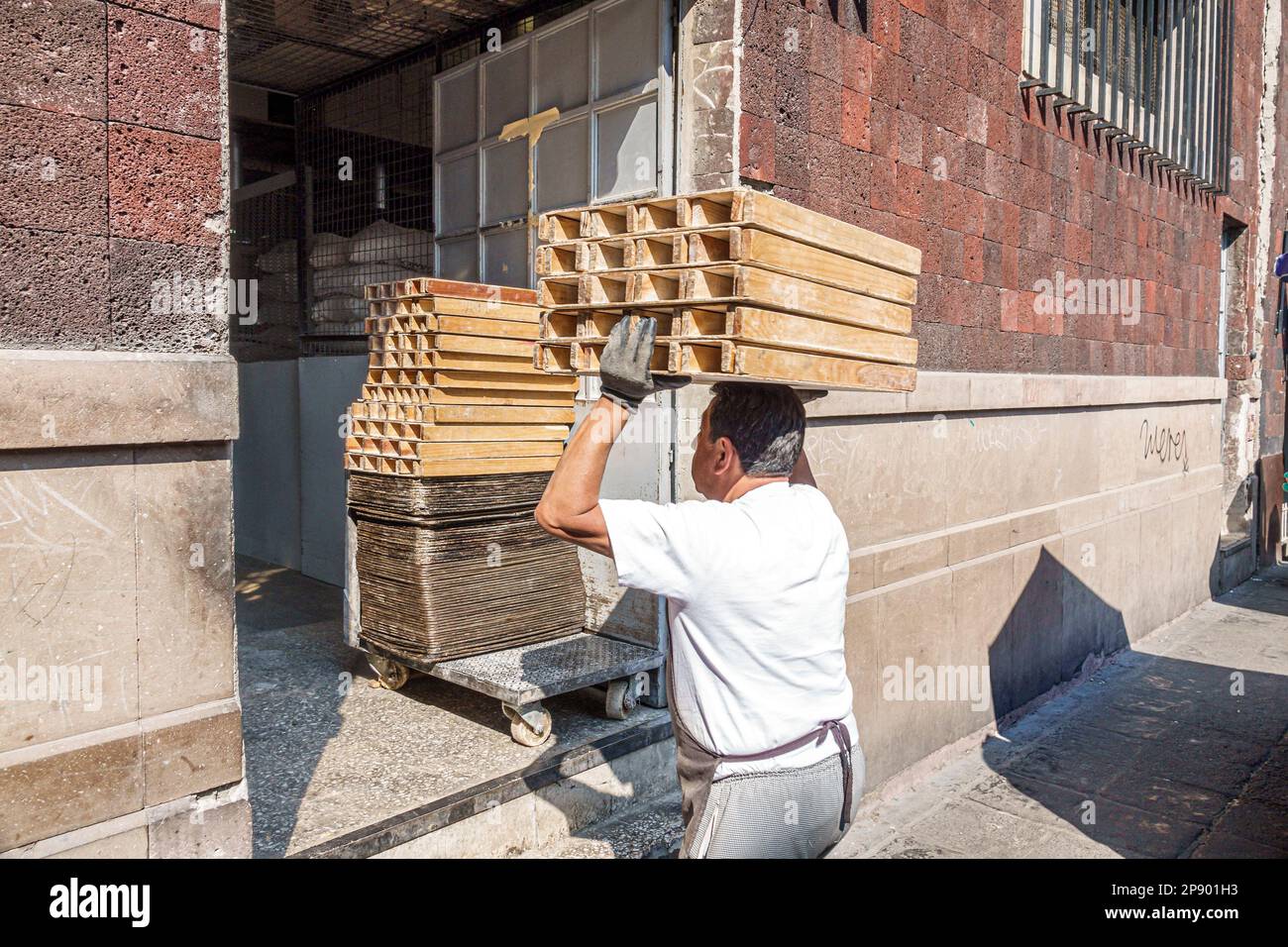 Mexico City,carrying pallets balancing on head,man men male,adult ...