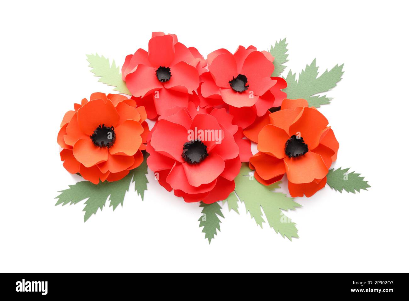 Paper poppy flowers with leaves on white background Stock Photo - Alamy