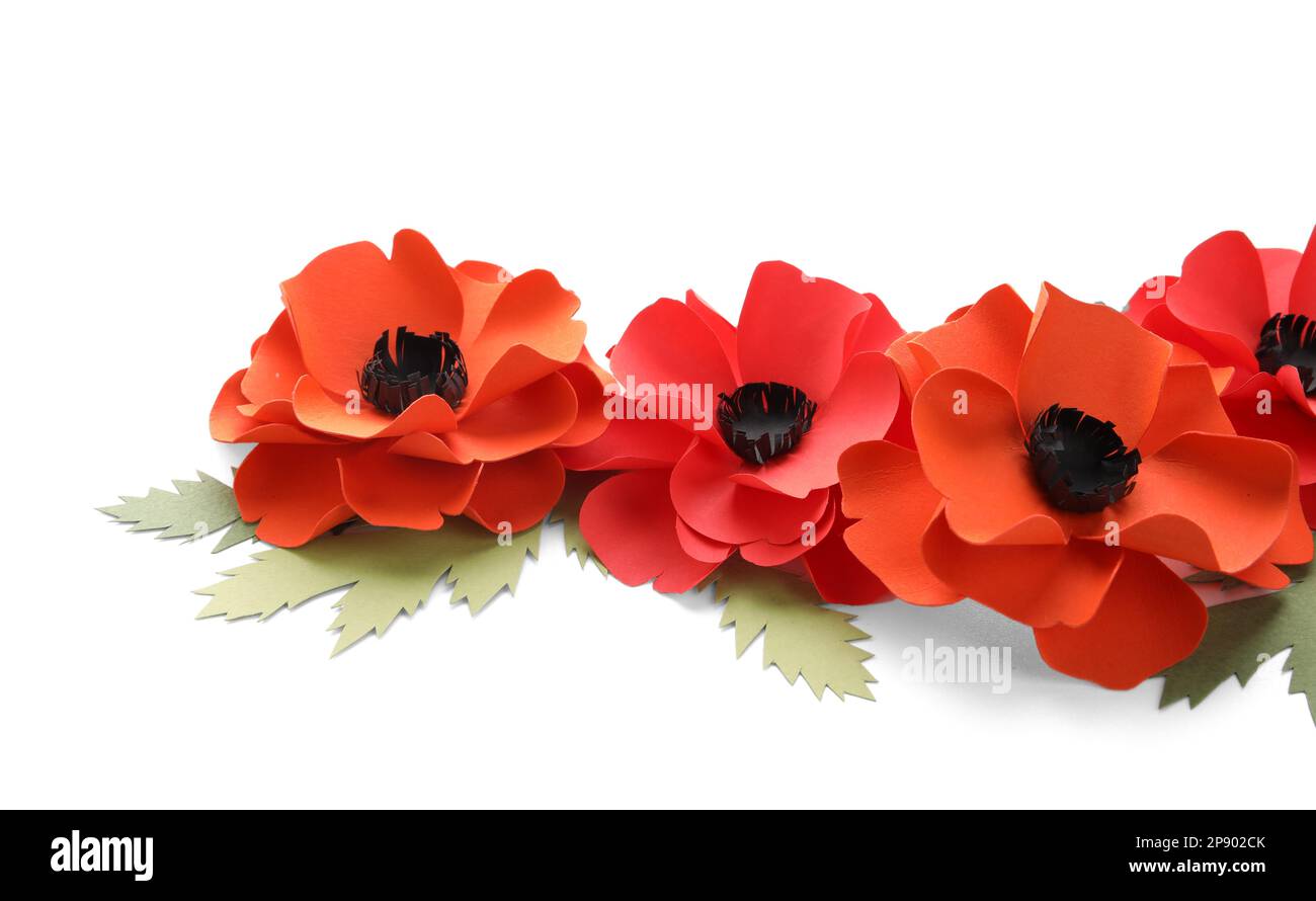Paper poppy flowers with leaves on white background Stock Photo - Alamy