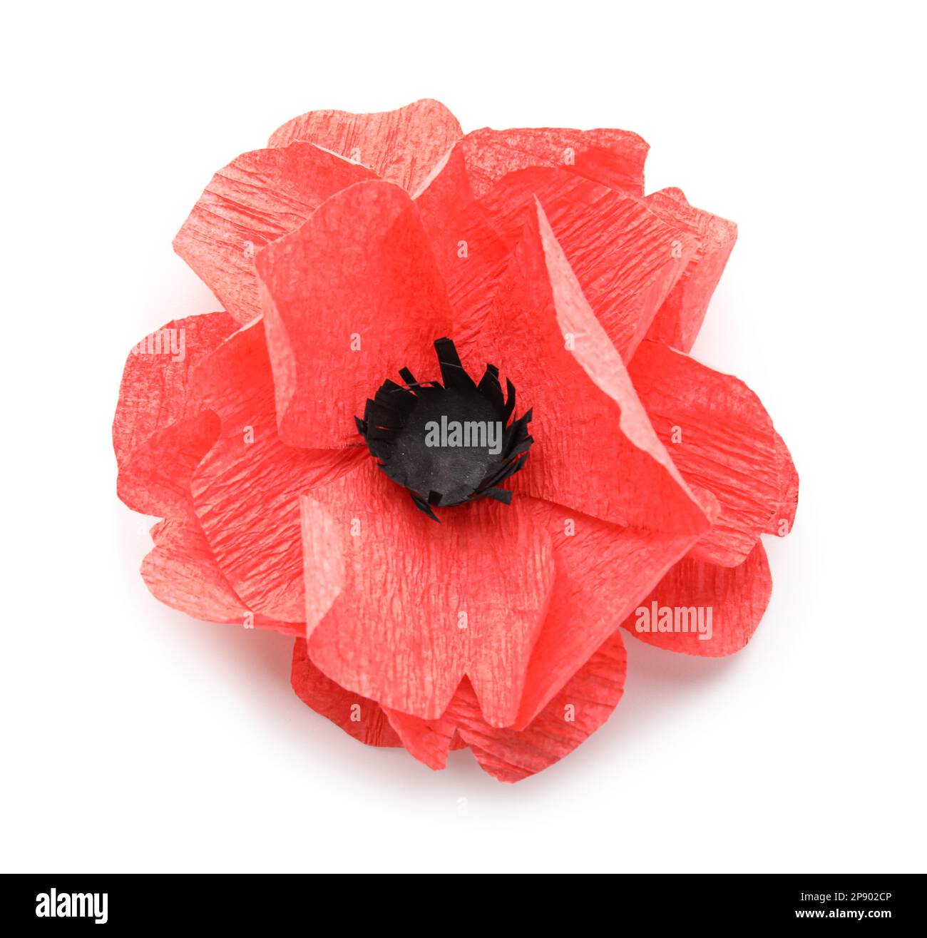 Paper poppy flower on white background Stock Photo - Alamy