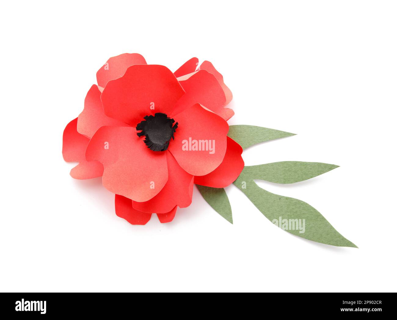 Paper poppy flower with leaves on white background Stock Photo - Alamy